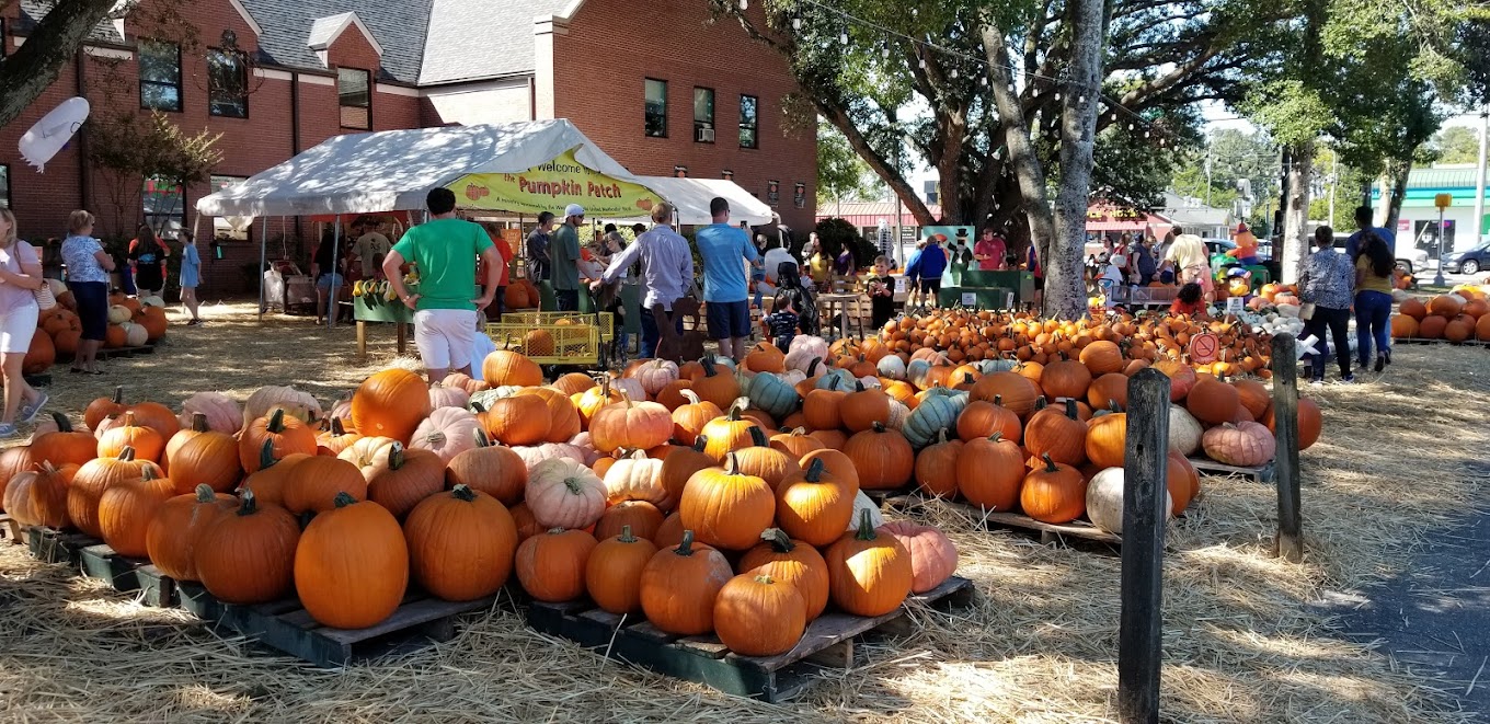 The Best Pumpkin Patches To Visit In The Wilmington Area