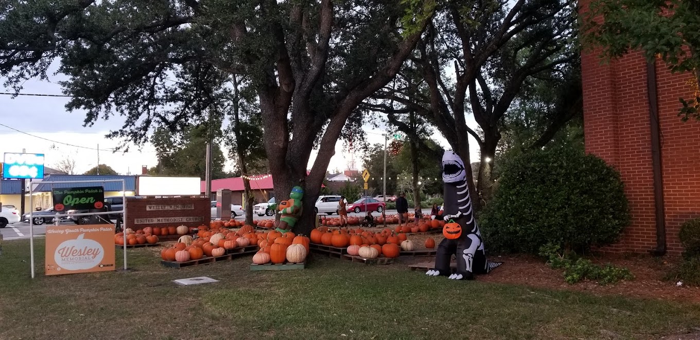 The Best Pumpkin Patches To Visit In The Wilmington Area